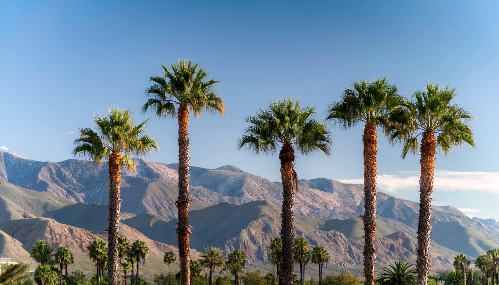 Why Traveling to La Quinta Should Be Your New Year’s Resolution | La ...